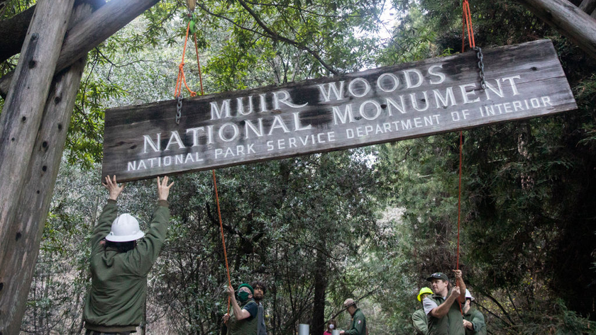 What is the treeline? And why is it important? | Advnture