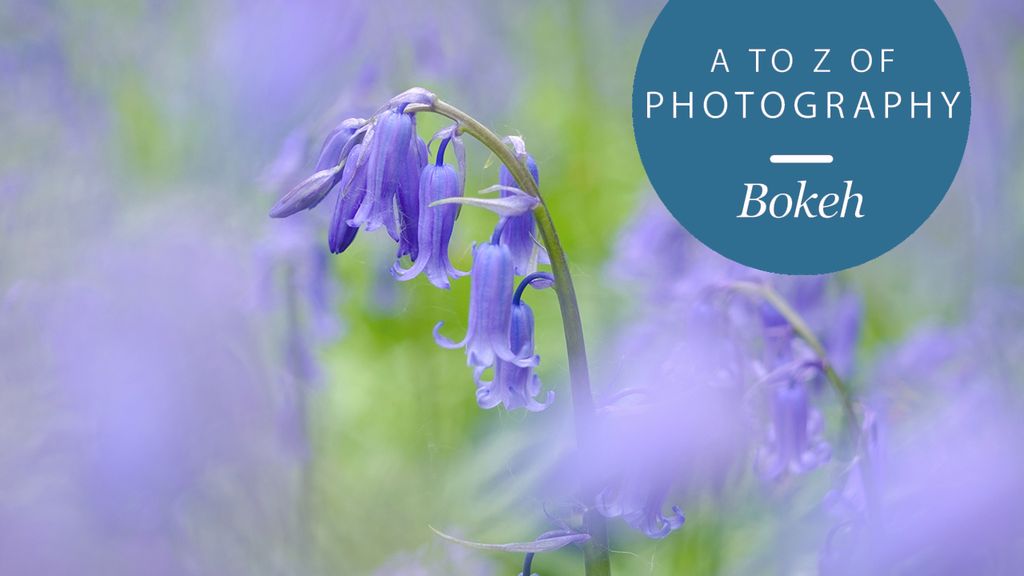 The A to Z of Photography: Bokeh | TechRadar
