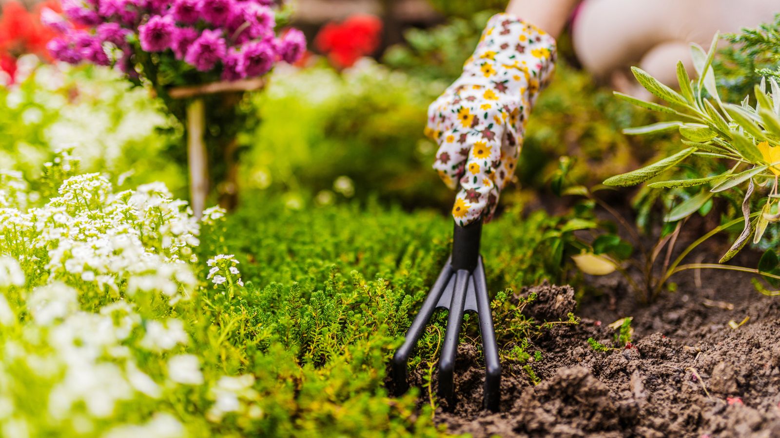 Gardening jobs calendar: month-by-month schedule | Real Homes