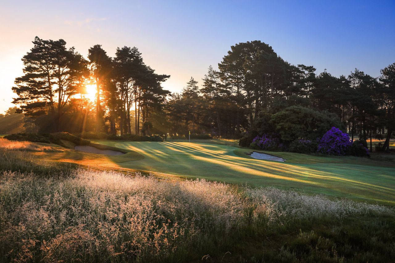 Ferndown Golf Club Old Course Review, Tee Times and Key Info | Golf Monthly