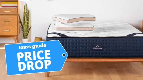 How much do Purple mattresses cost and where can you find the cheapest ...