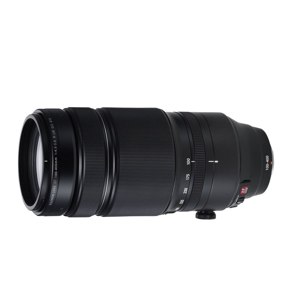 The best lenses for bird photography | Digital Camera World