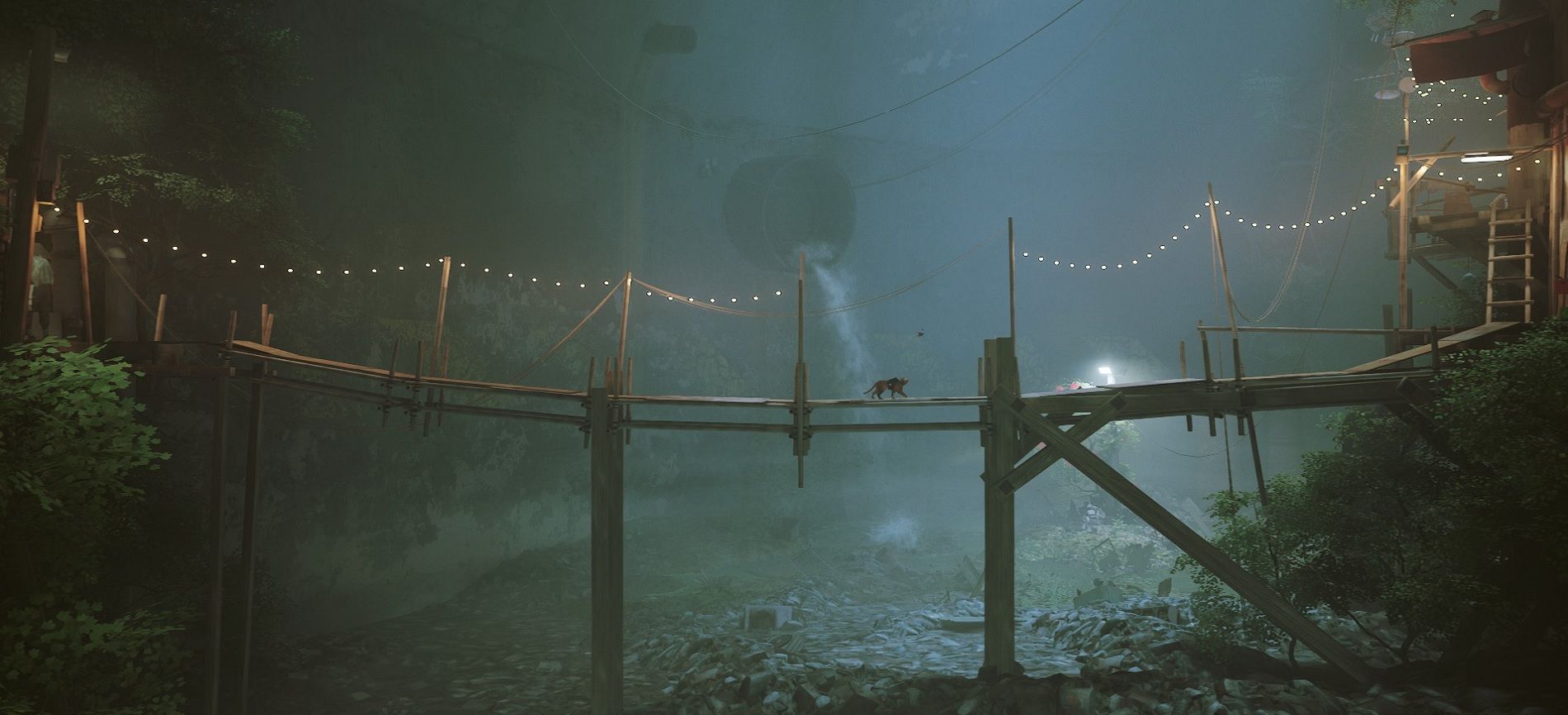 Stray: Where to find the red, yellow and purple plants | PC Gamer