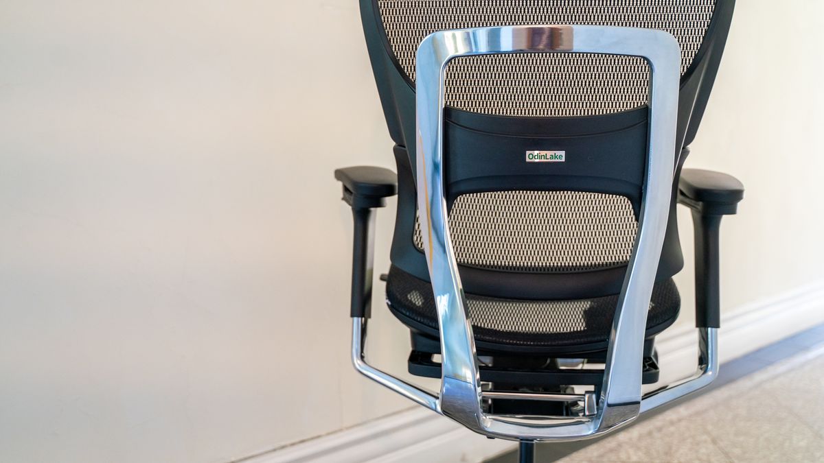 OdinLake Ergo PLUS 743 review: This premium chair is worth the money ...