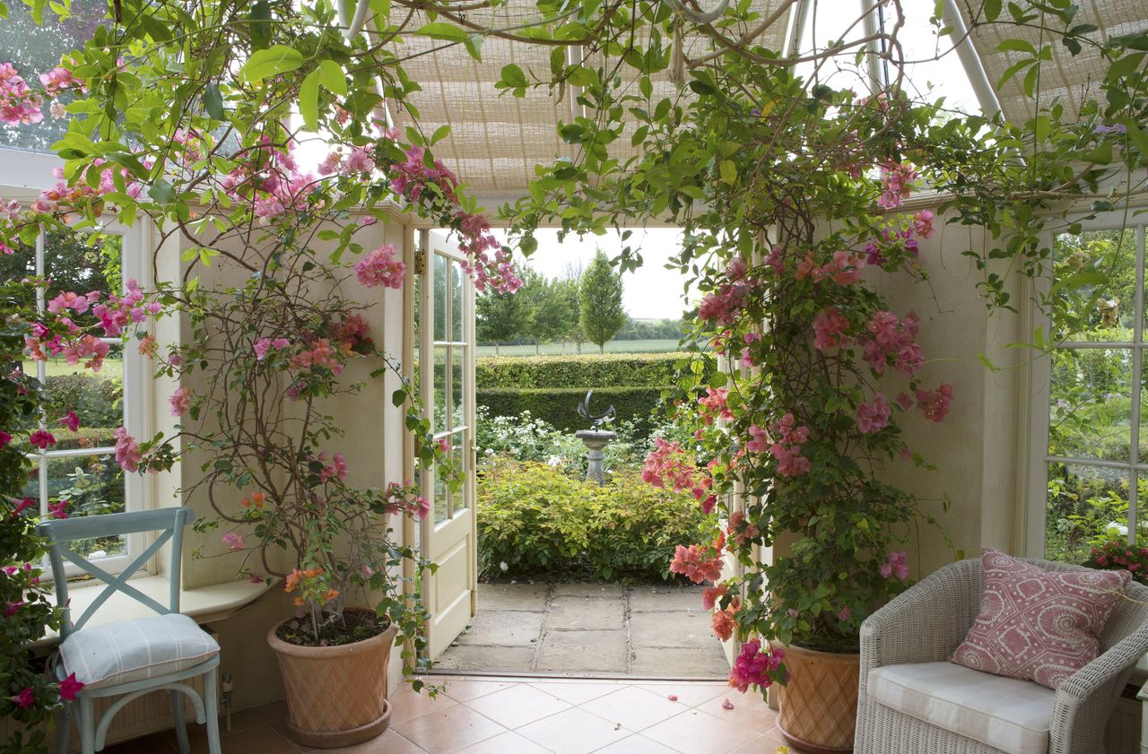 Greenhouse gardening: how to garden under glass | Real Homes