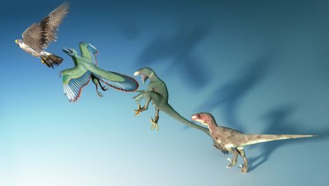 How fast does evolution happen? | Live Science