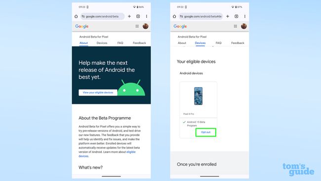 Android 15 beta is available now for Google Pixel users — here's how to ...