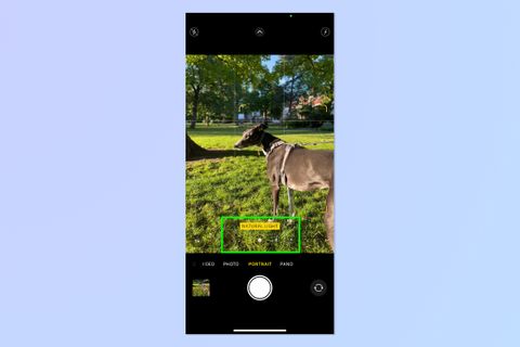 10 hidden iPhone camera features to make you a better photographer ...
