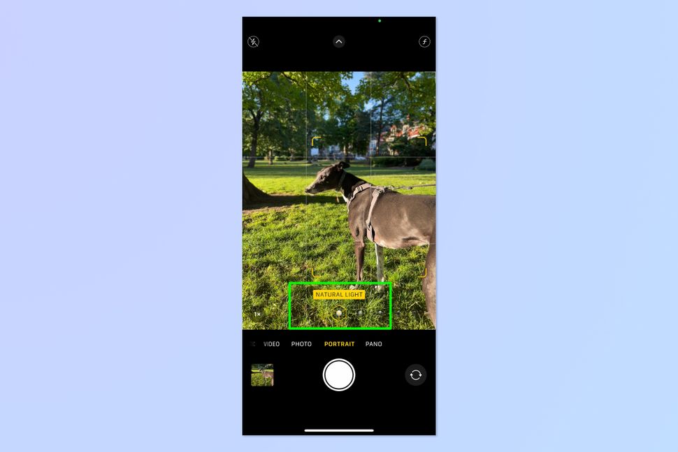 10 hidden iPhone camera features to make you a better photographer ...