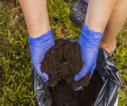 How to improve garden soil: 5 simple methods | Homes and Gardens