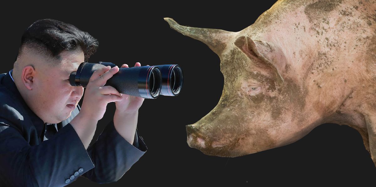 Hog waste is scarier than North Korea | The Week