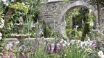 11 plants for a French countryside-style garden: expert picks | Homes ...