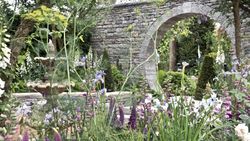 11 plants for a French countryside-style garden: expert picks | Homes ...