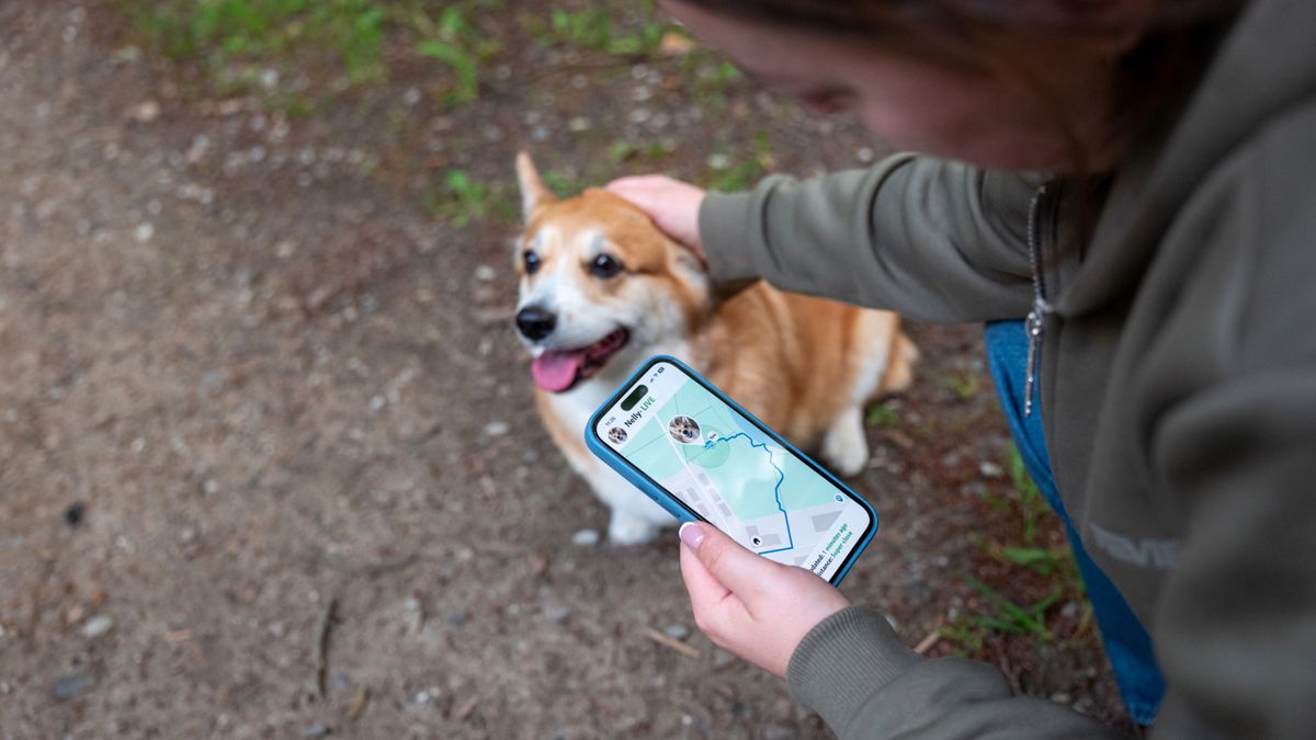 Best GPS trackers for pets: 5 tried-and-tested options to track ...
