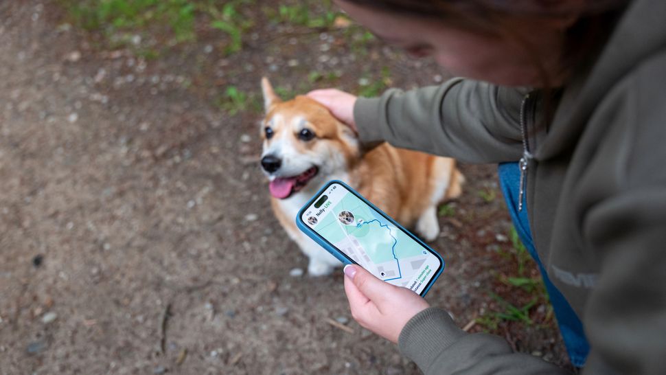 Best GPS trackers for pets: 5 tried-and-tested options to track ...