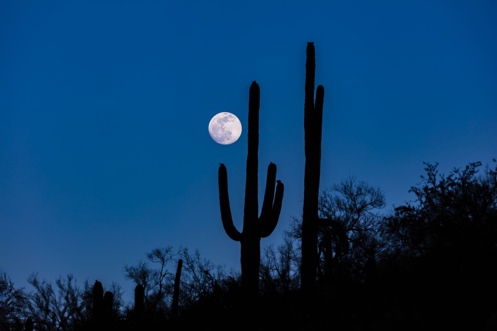 Arizona Retirement: Nine Things You Must Know | Kiplinger