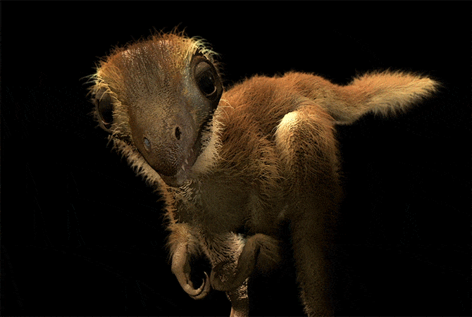 Baby T. Rex Was an Adorable Ball of Fluff | Live Science