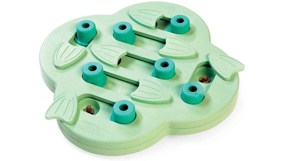 Best dog puzzle toys 2025 for your clever canine | PetsRadar