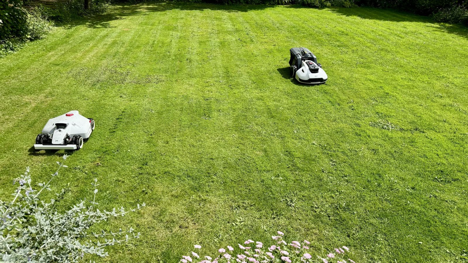Mammotion YUKA 1500 3D Vision Robot Lawn Sweeping Mower review: a top-performing robot replete ...