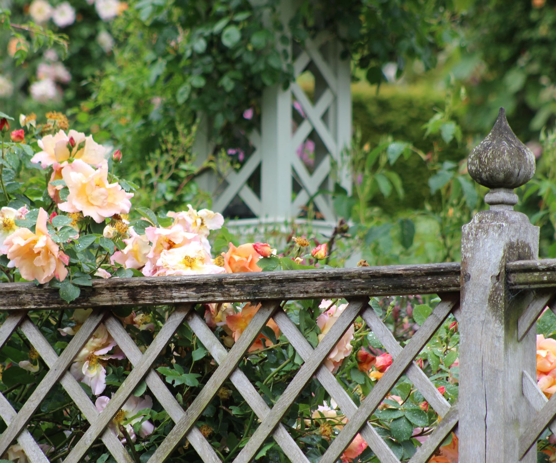 How to design a romantic garden: 9 expert tips you need to know | Homes ...