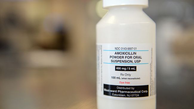 What is penicillin, and how was it discovered? | Live Science