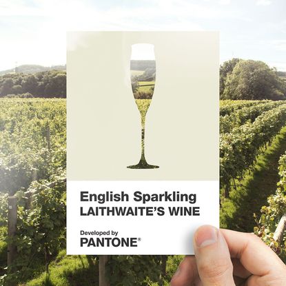 Pantone launches a new English Sparkling Wine paint colour | Ideal Home