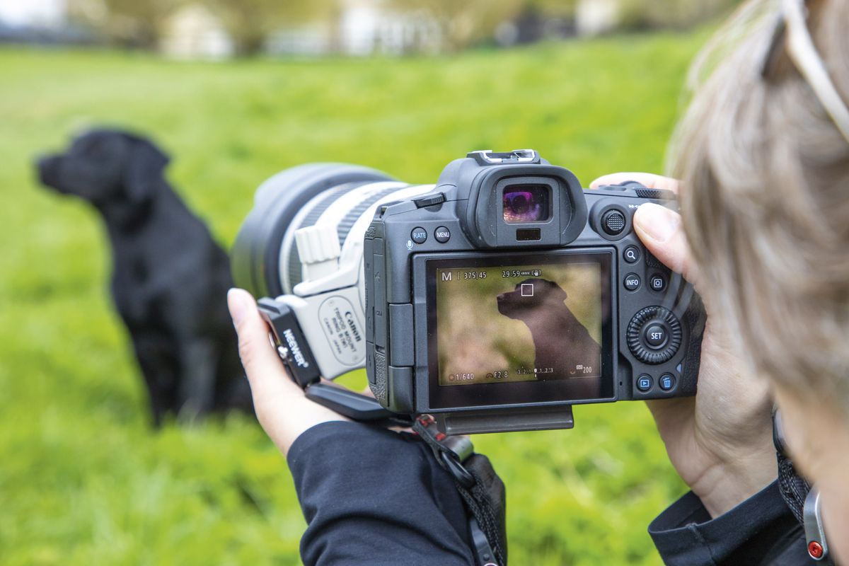 10 pet photography tips: Take amazing puppy portraits at home | Digital ...