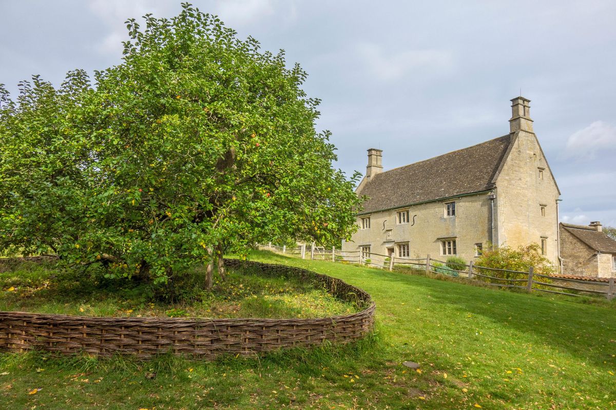 Isaac Newton's apple tree has been used to propagate 10 new saplings ...