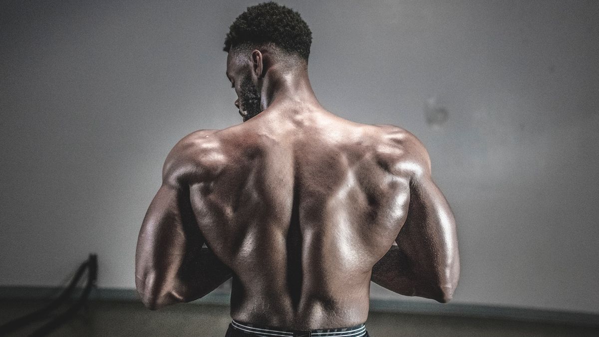 Build a bigger, more muscular back with this expert's advice | T3
