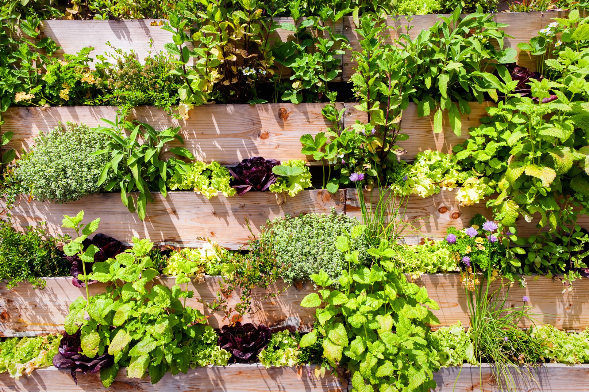 5 things to do in the garden now, and 5 things that can wait until ...