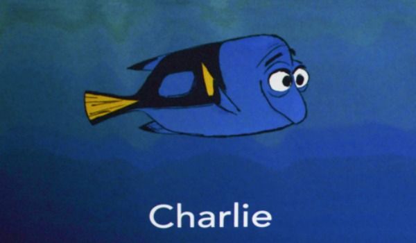 Finding Dory: What We Know So Far | Cinemablend