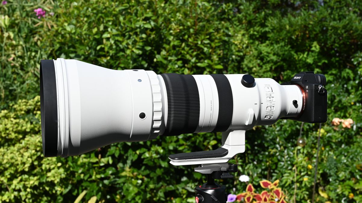 Sigma 300-600mm f/4 DG OS Sports review: Sigma's supersize "dream lens ...