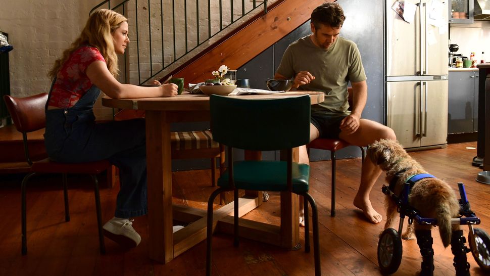 Colin from Accounts season 2: release date and all we know | What to Watch