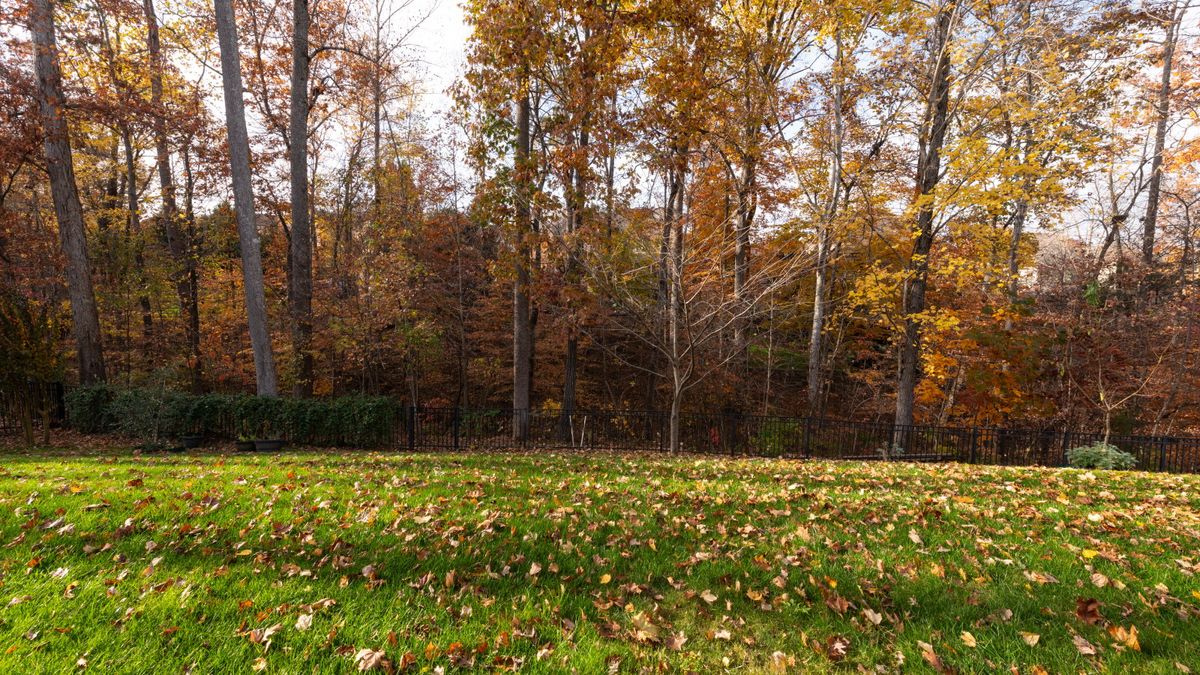 A guide to October lawn care in different zones | Homes and Gardens