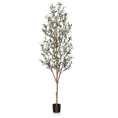 Faux olive trees are trending, and here are my favorites | Homes and ...