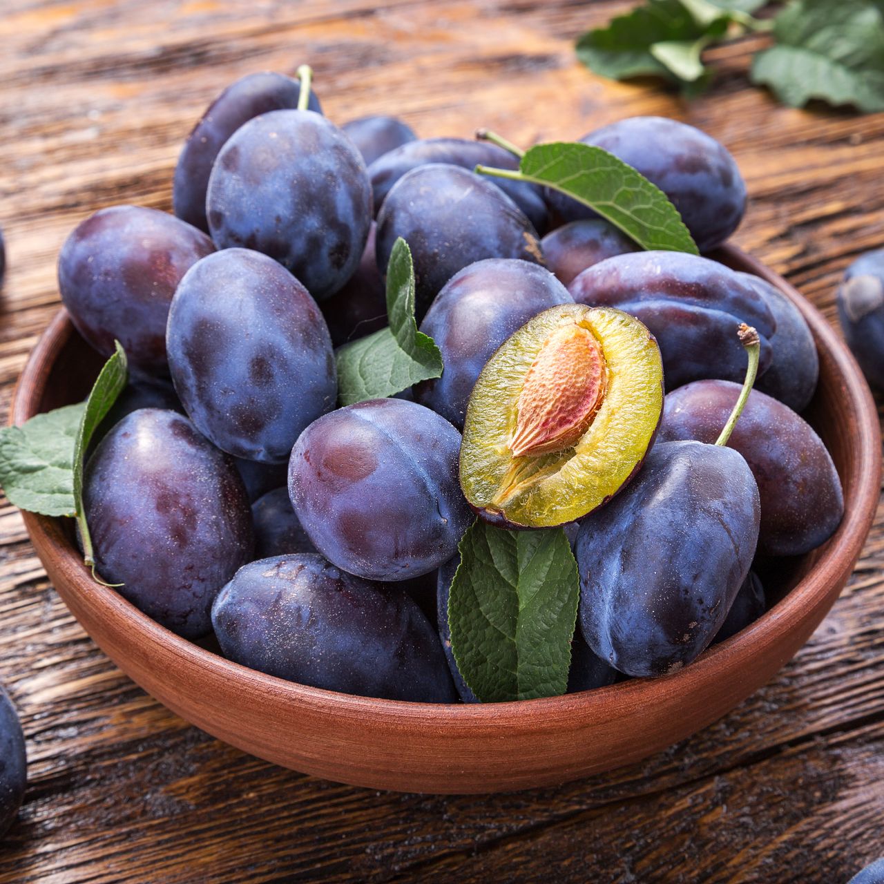 Tips & Information about Plum Trees | Gardening Know How