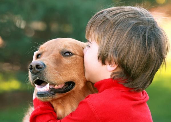 New Pets May Help Autistic Kids Socially Coping With Autism Live 