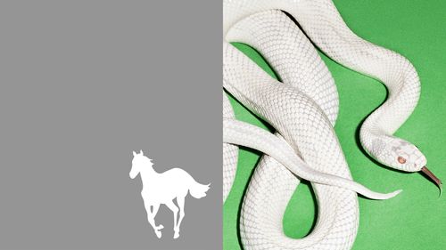 Texturing with InDesign | Creative Bloq