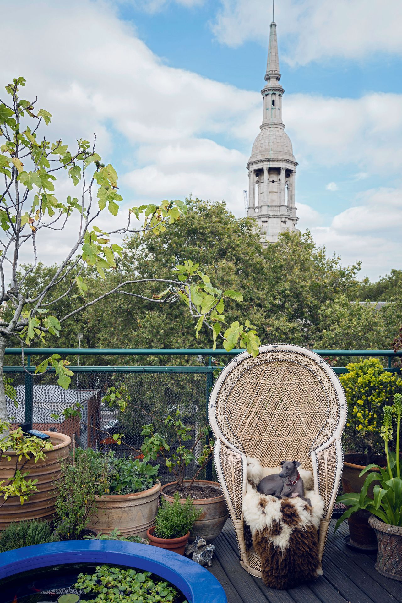 9 small garden fence ideas to add style to compact spaces | Livingetc