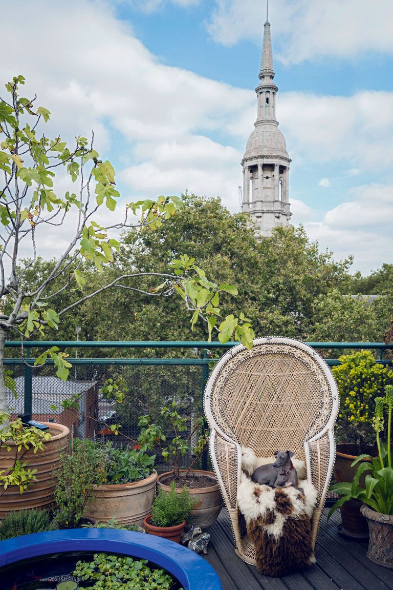 9 small garden fence ideas to add style to compact spaces | Livingetc