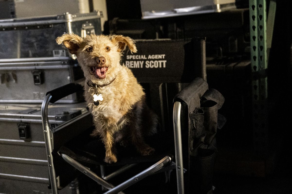 FBI: Most Wanted BTS Photos Feature Dylan McDermott At Work On Season 4 ...