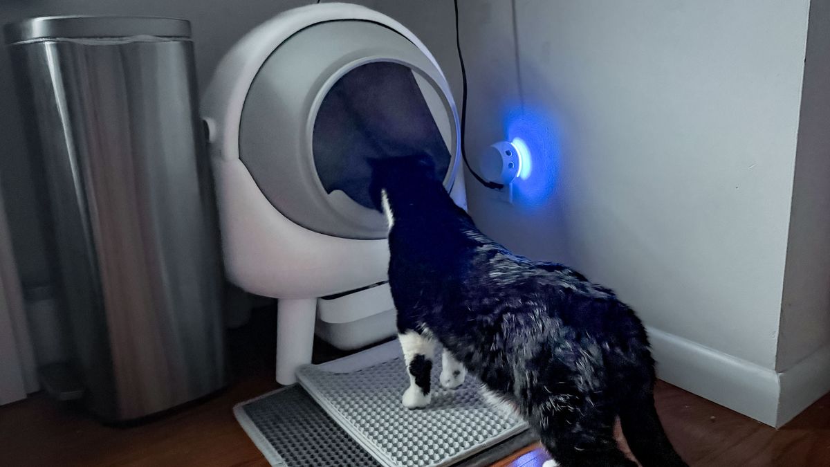 I asked cats to test these robotic litter boxes — here's the ones they ...