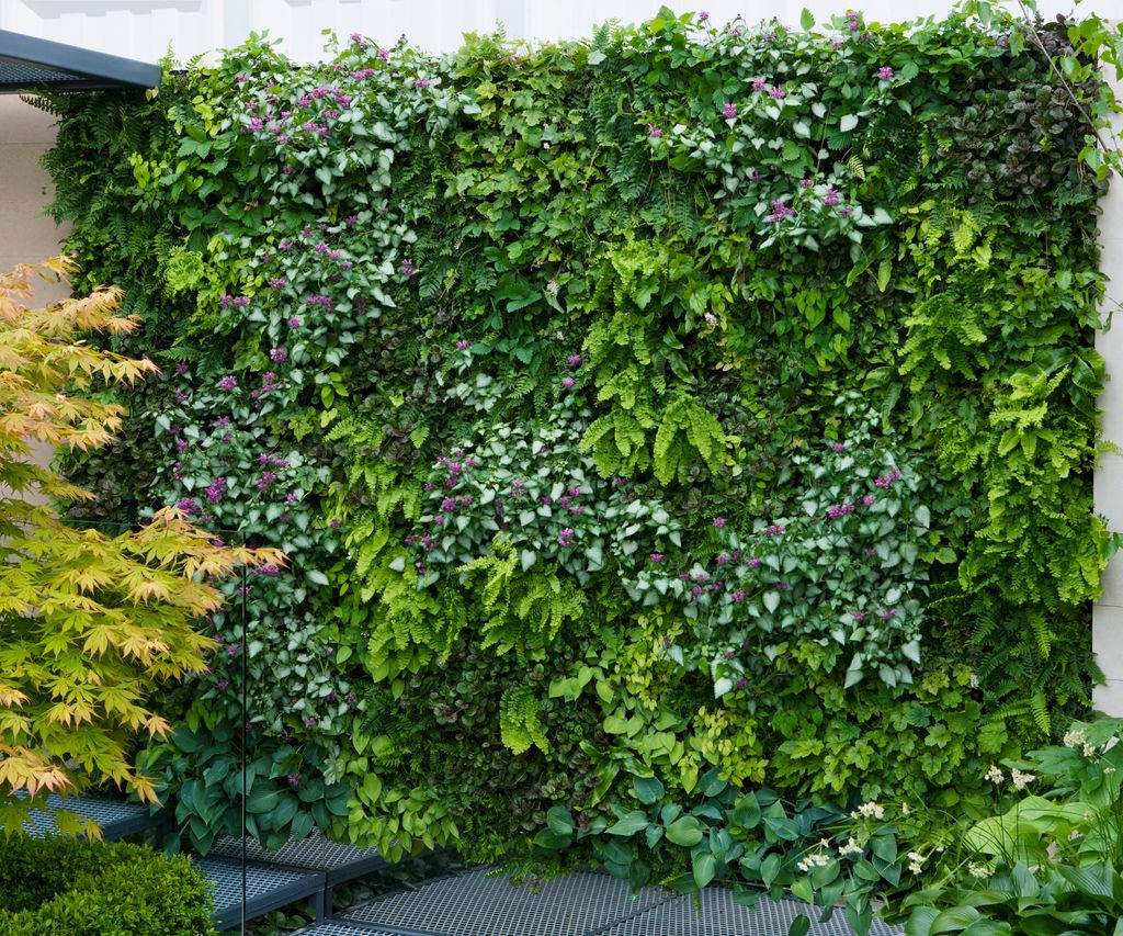 "Nostalgia Gardening" – New Ways To Use Classic Plants | Gardening Know How