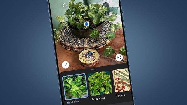 How to use Google Lens on your iPhone or iPad | TechRadar