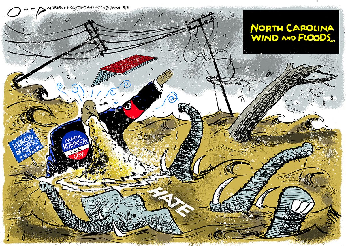 5 category 5 cartoons about hurricane Helene | The Week