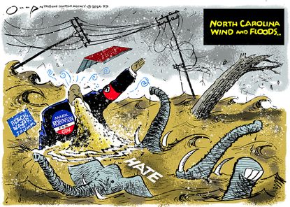 5 category 5 cartoons about hurricane Helene | The Week