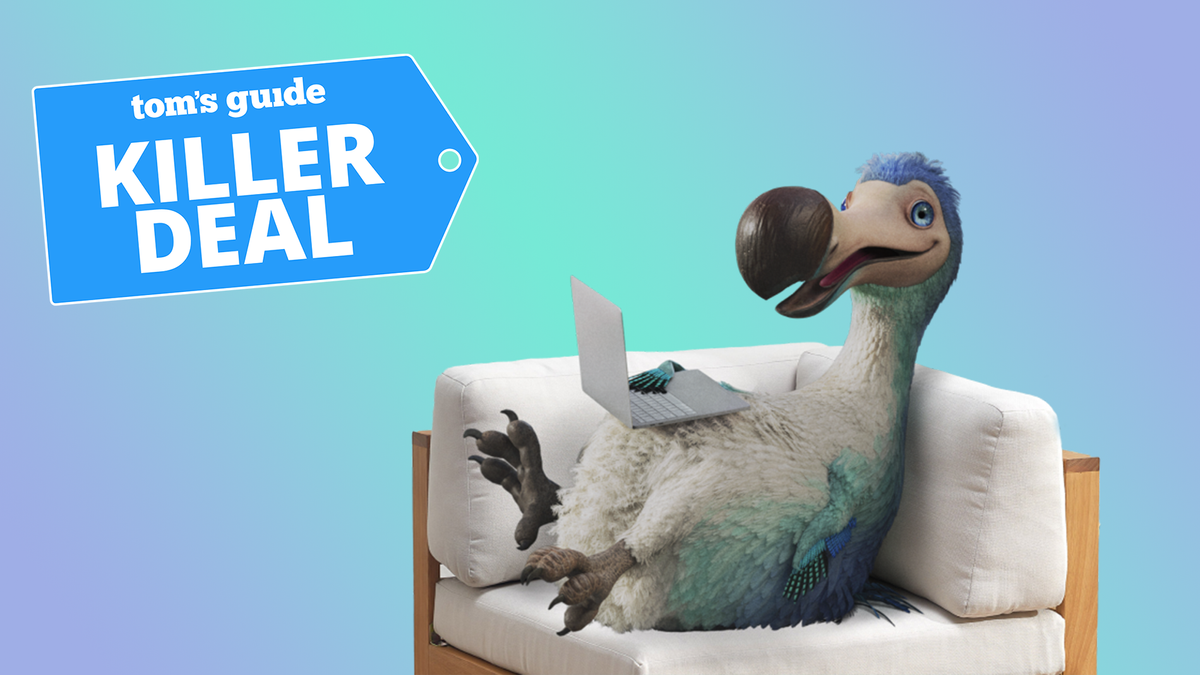 Time's running out to snag one of Dodo's excellent 12-month NBN deals ...