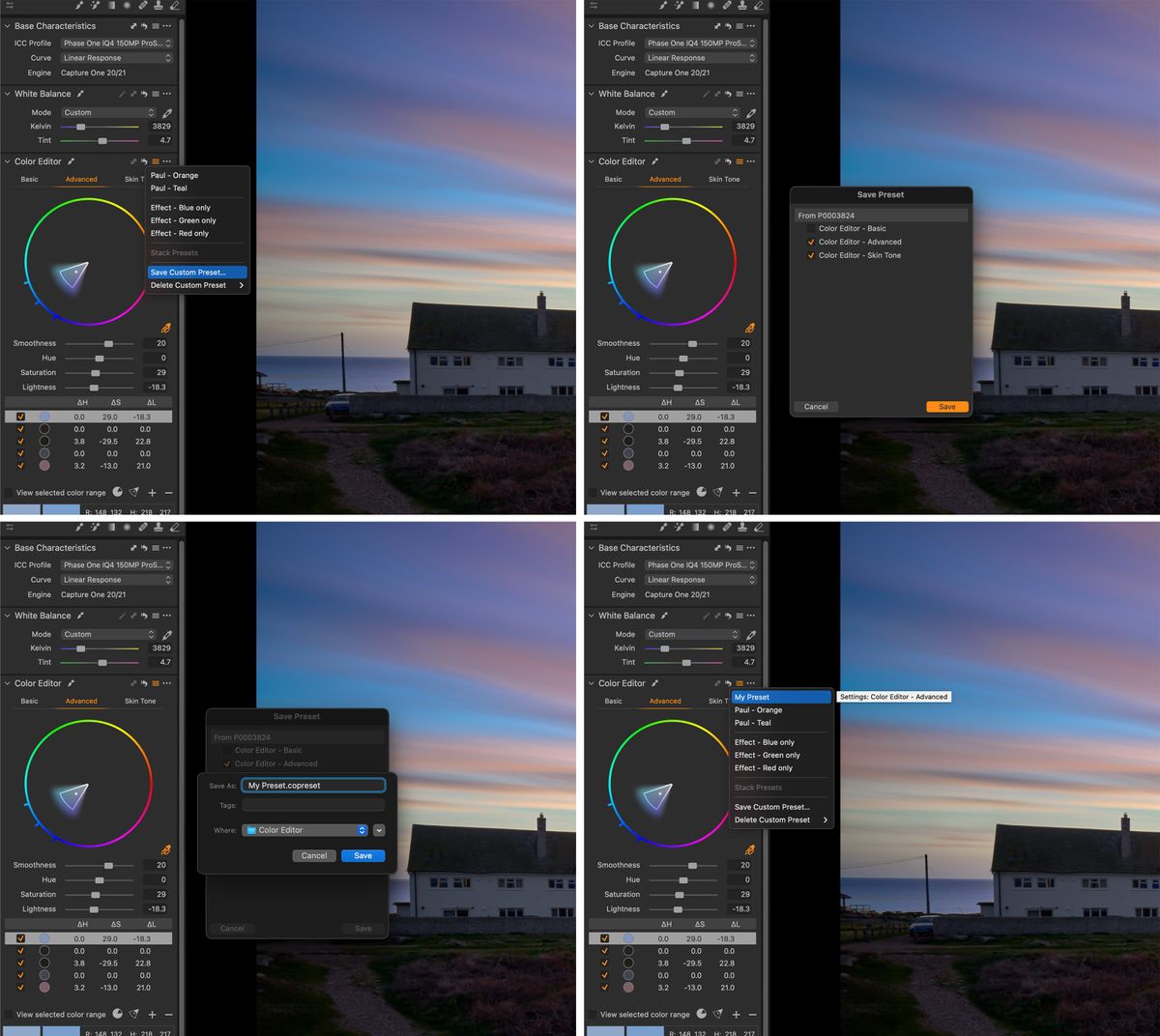 Capture One Presets, Styles and Style Brushes: what they are, how to ...