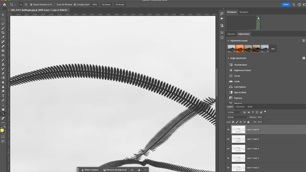 Wildlife photography with a twist: Capture birds in flight with this ...