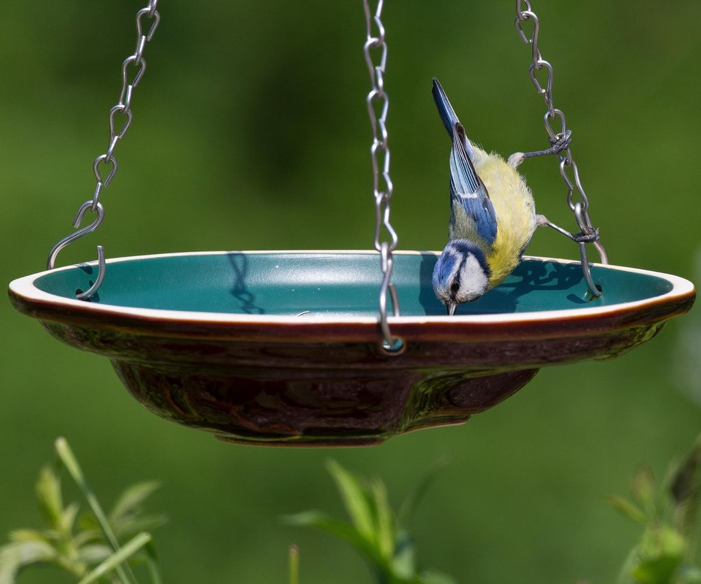 How to make a bird bath in a few simple steps | Homes and Gardens